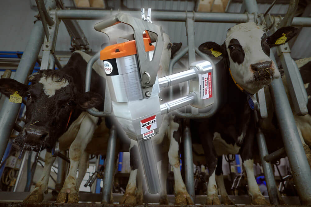 Better Safety in Abattoirs with Kentmaster’s Pneumatic Bolt Stunner ...